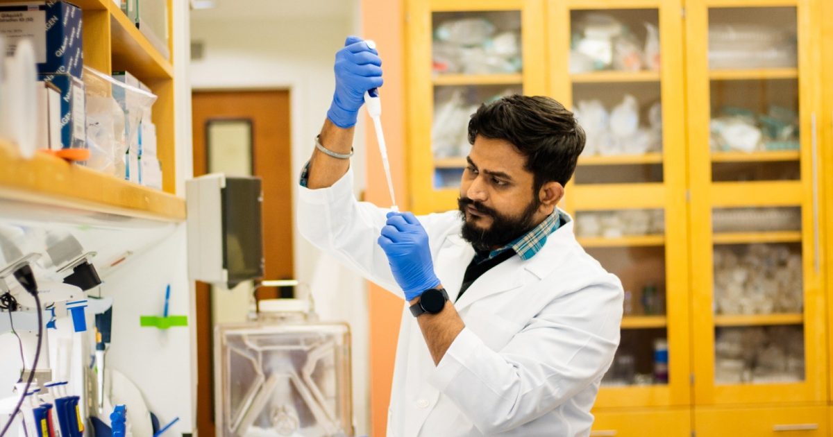 USA Health researchers uncover novel mechanism that supports survival of pancreatic cancer cells ...