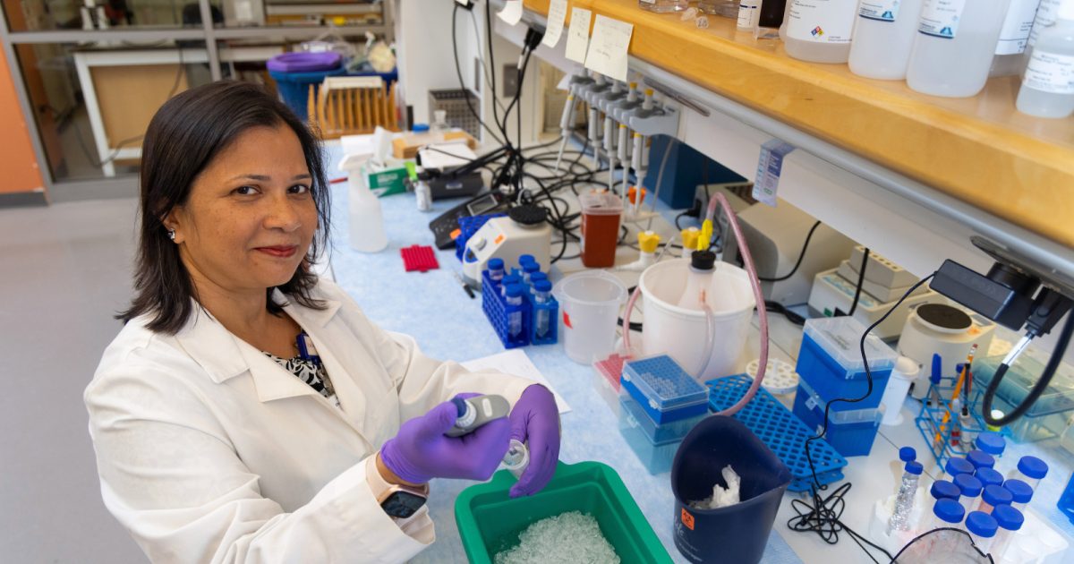USA researcher receives DOD grant to study novel link between obesity ...