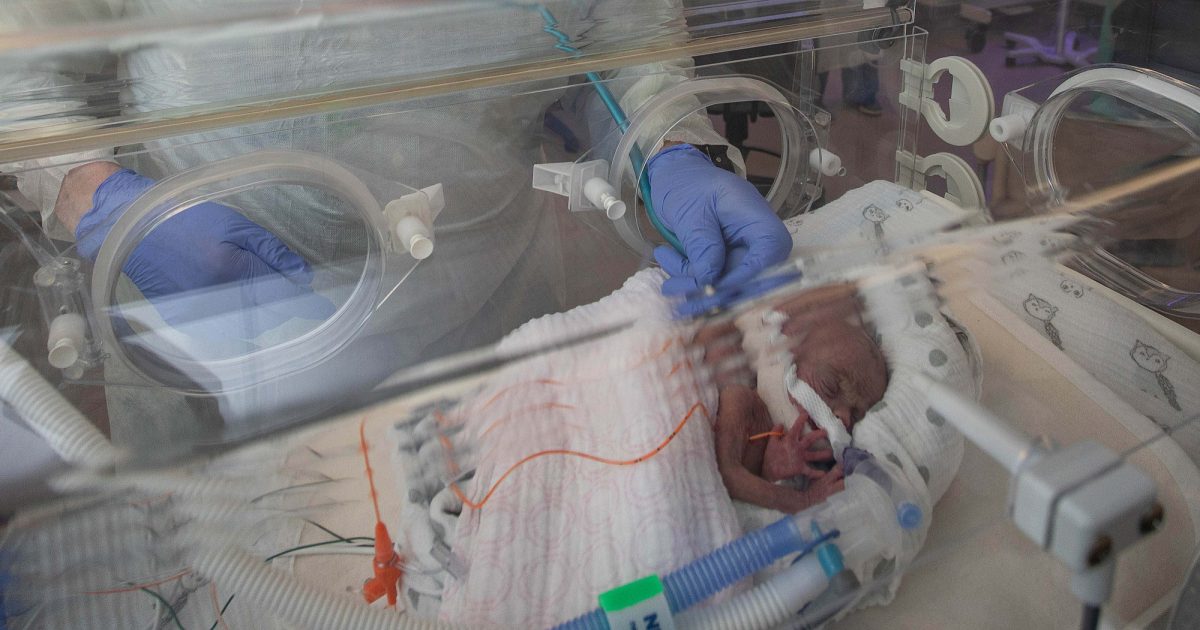 Research on small baby unit at Children’s & Women’s Hospital presented ...